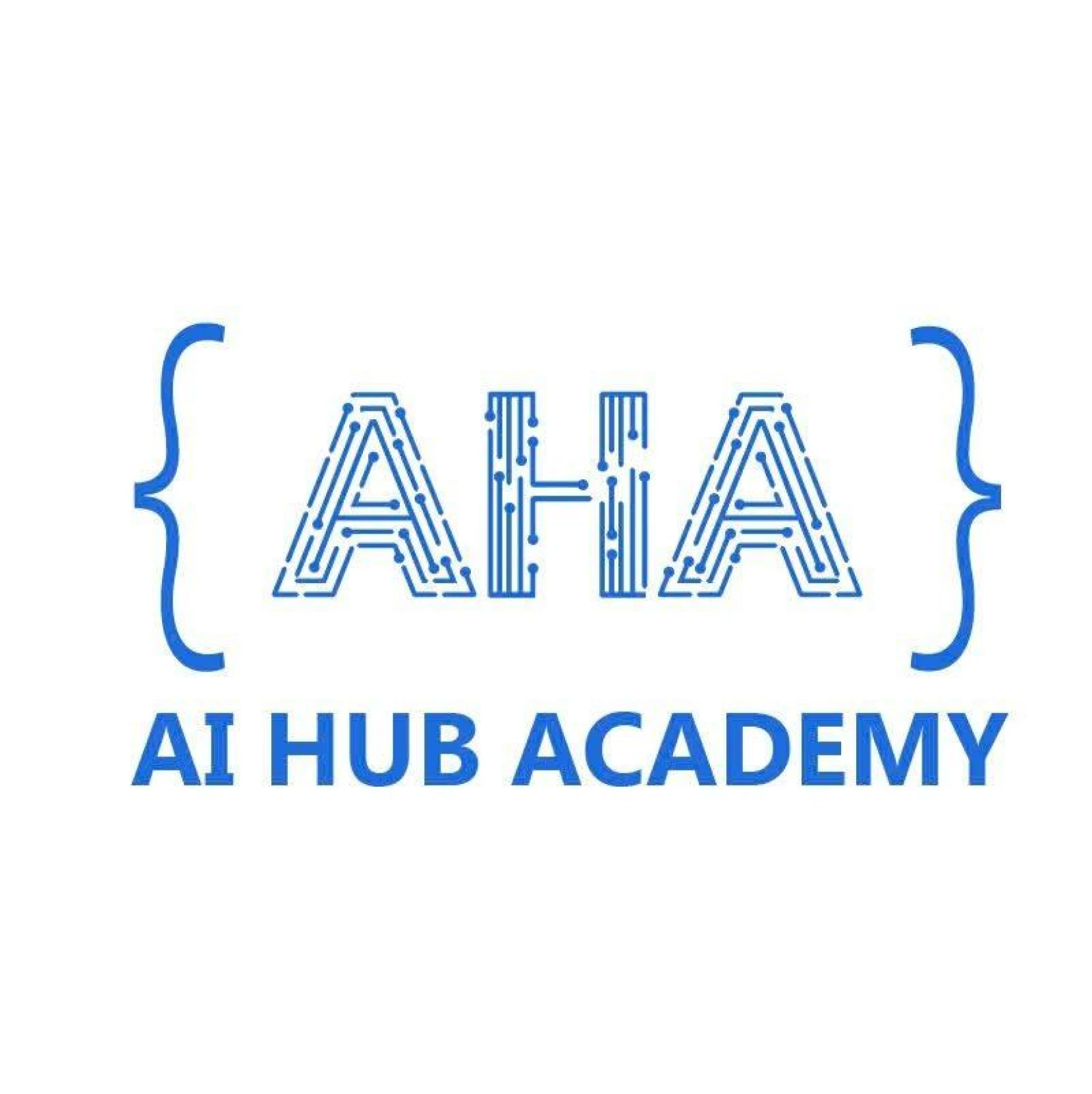 AI HUB ACADEMY